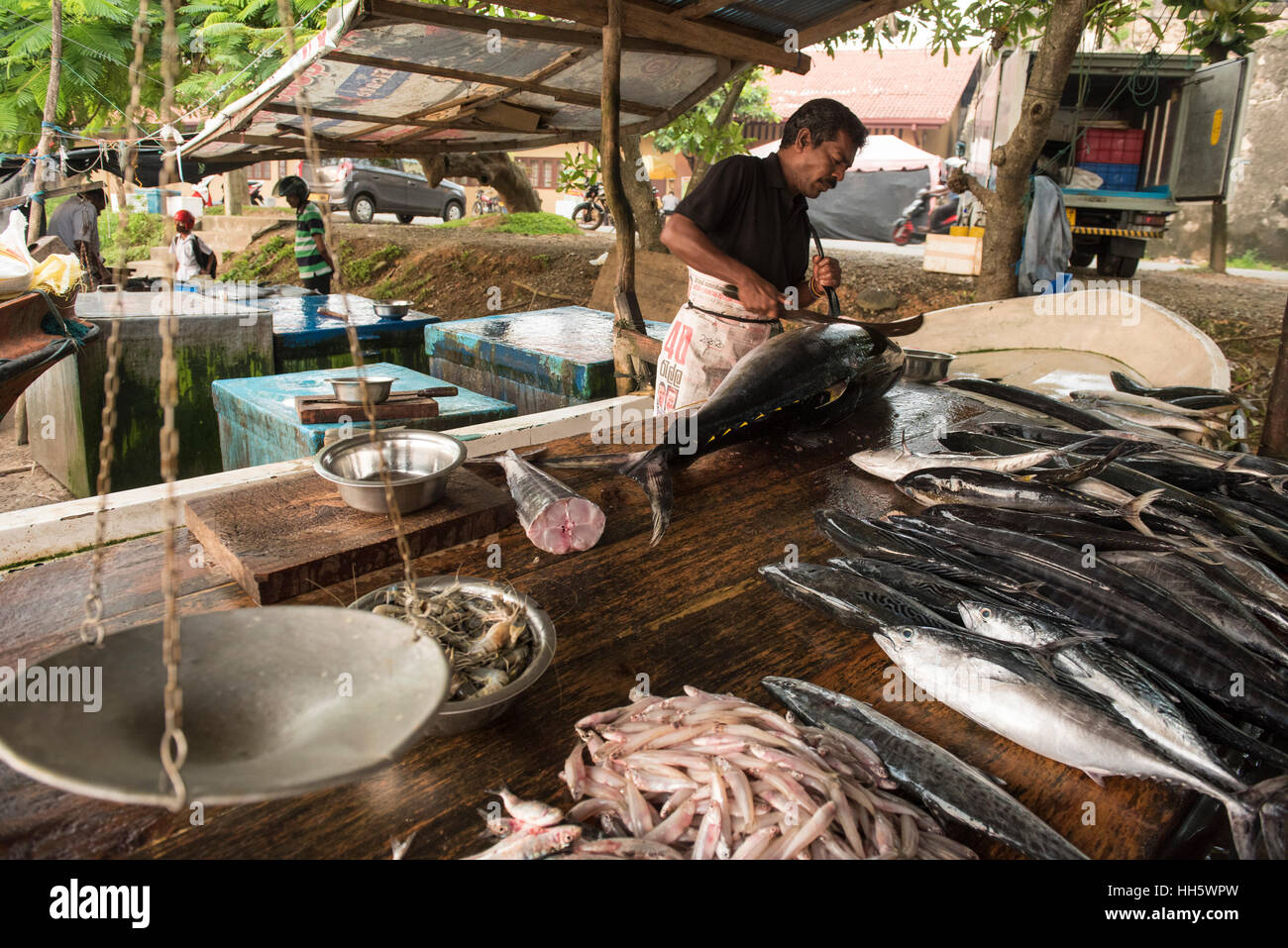 Fish market, Galle, Sri Lanka Stock Photo - Alamy