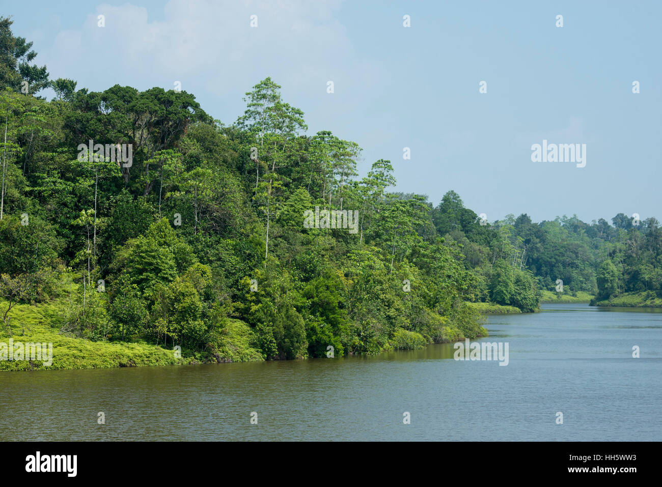 Hiyare reservoir in Kottowa & Kombala forest reserve, Kottowa, Sri ...