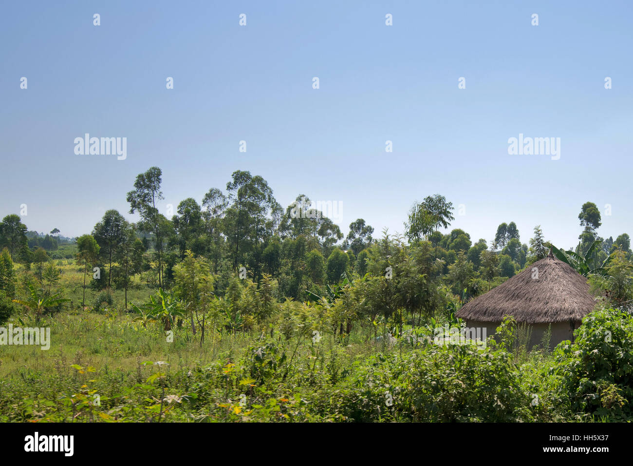 Rural African landscape of countryside with traditional huts in Kenya ...