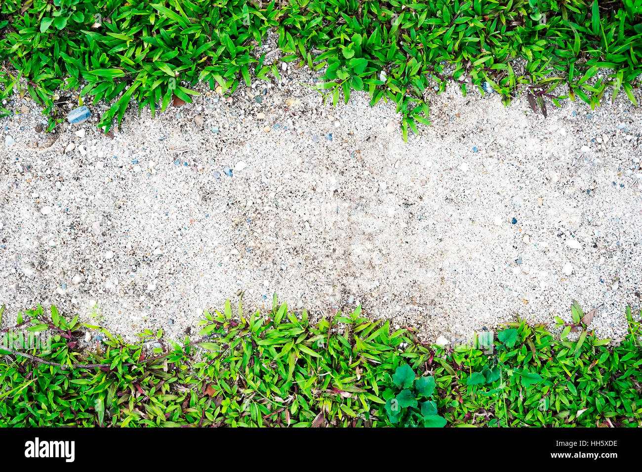 grass frame on sand background and texture Stock Photo - Alamy