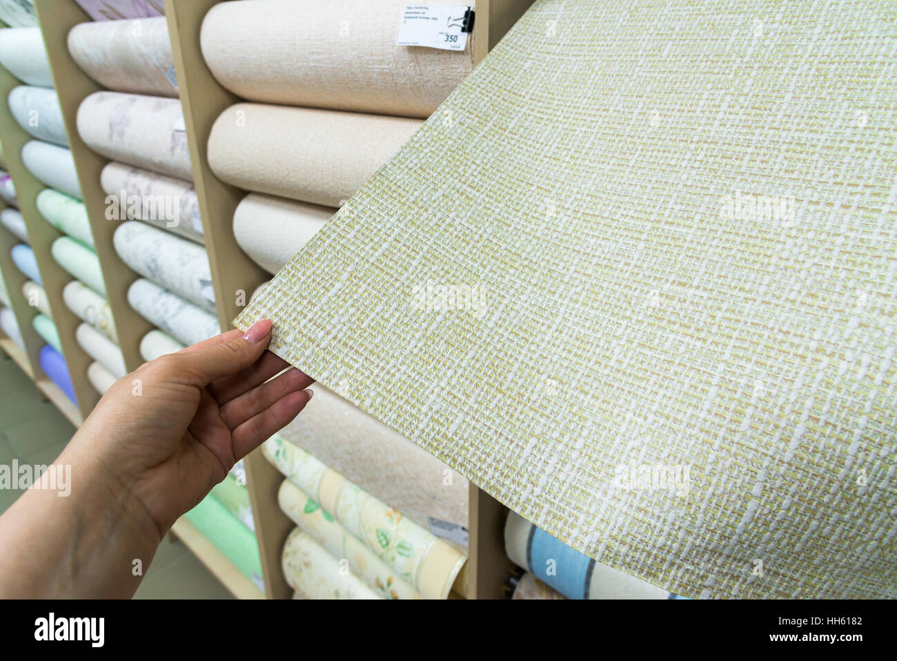 female hand holding beige wallpaper in store Stock Photo - Alamy