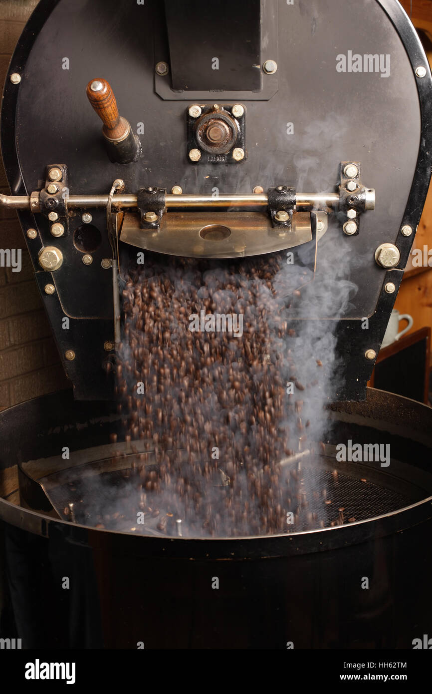 Photo of freshly roasted coffee beans from a large coffee roaster being ...