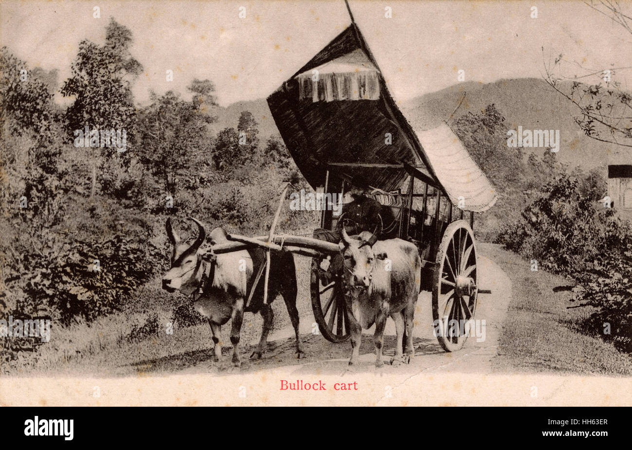 Ox drawn wagon hi-res stock photography and images - Alamy