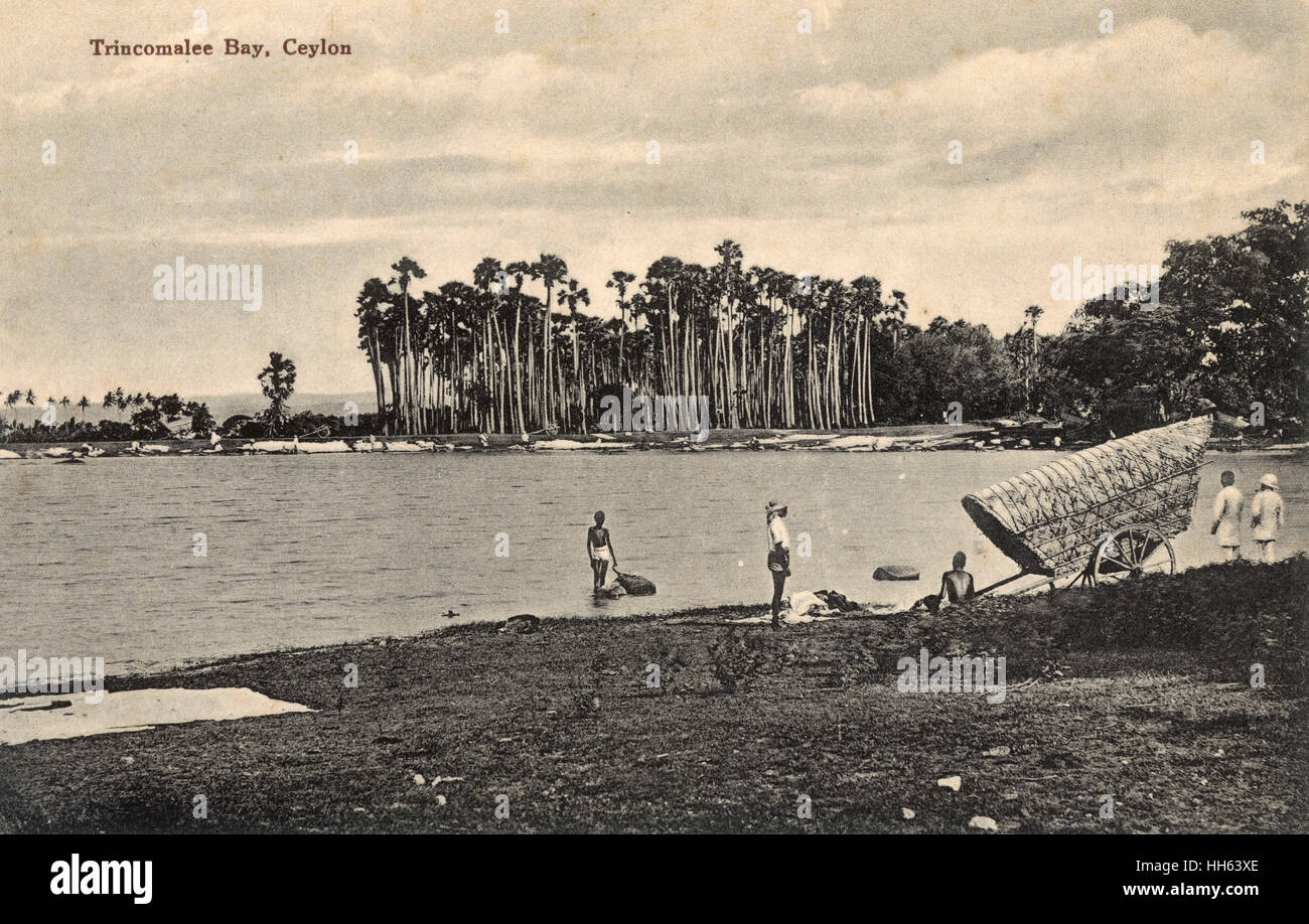 Trincomalee Bay, Ceylon (Sri Lanka Stock Photo - Alamy