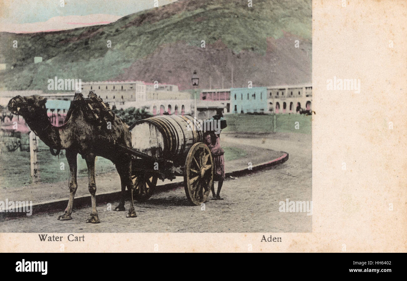 Camel Drawn Cart High Resolution Stock Photography and Images - Alamy