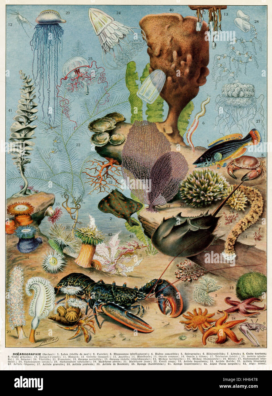 Nov16 hi-res stock photography and images - Alamy