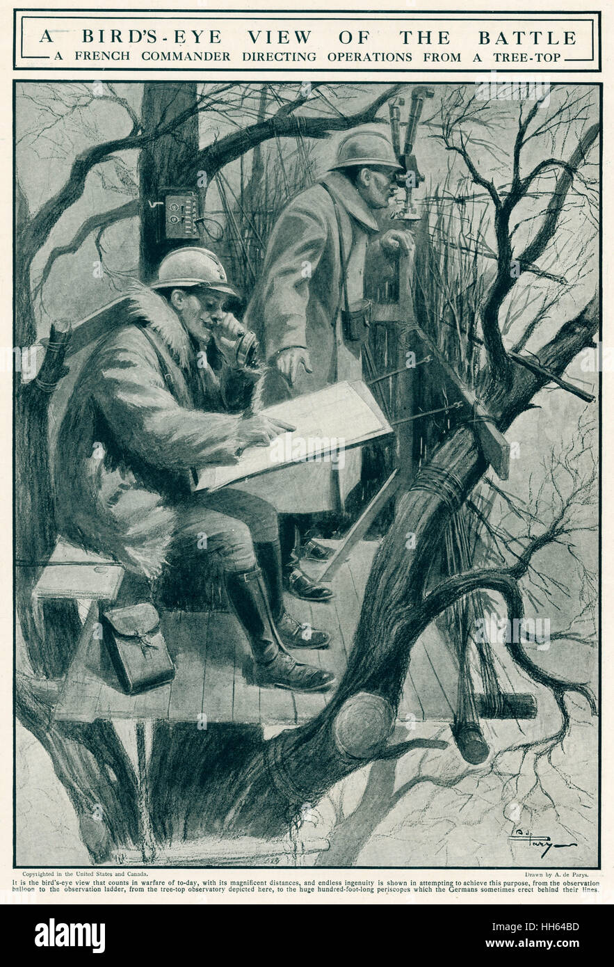 French Commander directing operations from tree top 1917 Stock Photo ...