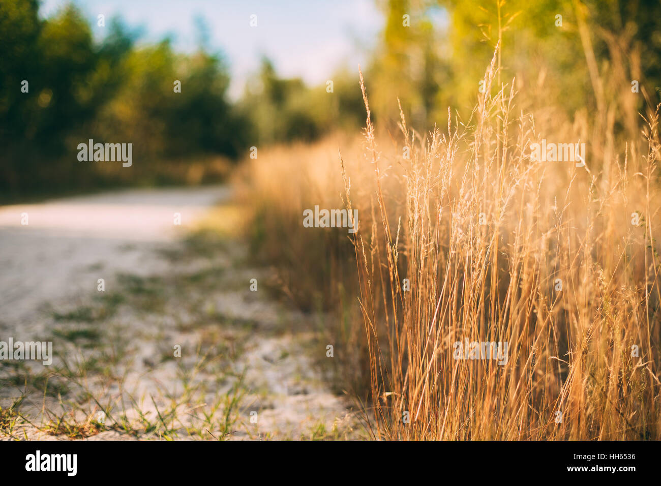 Roadside path pathway hi-res stock photography and images - Alamy