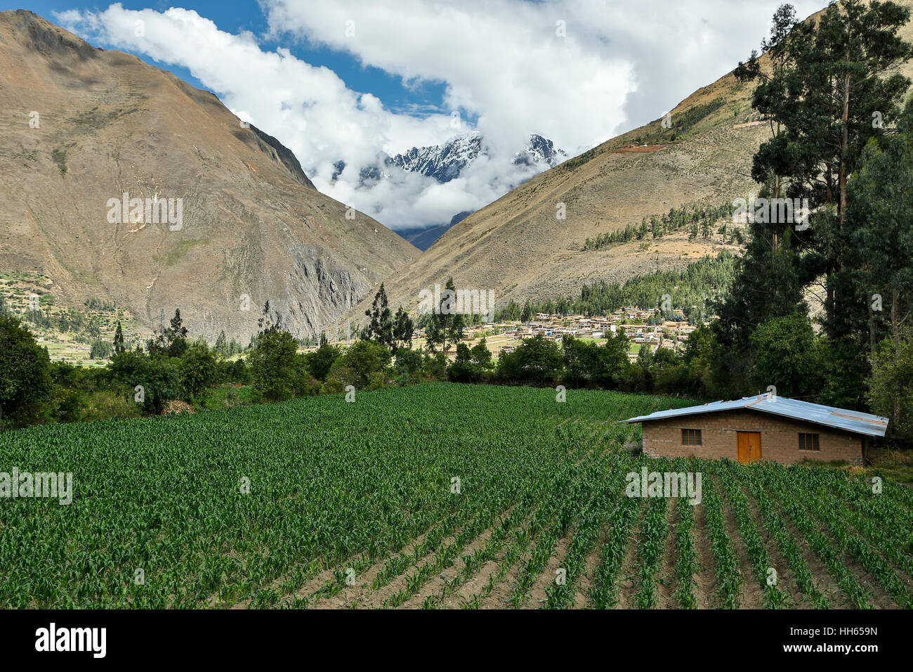 Corn field, house and mountains, San Isidro neighborhood, Ollantaytambo ...
