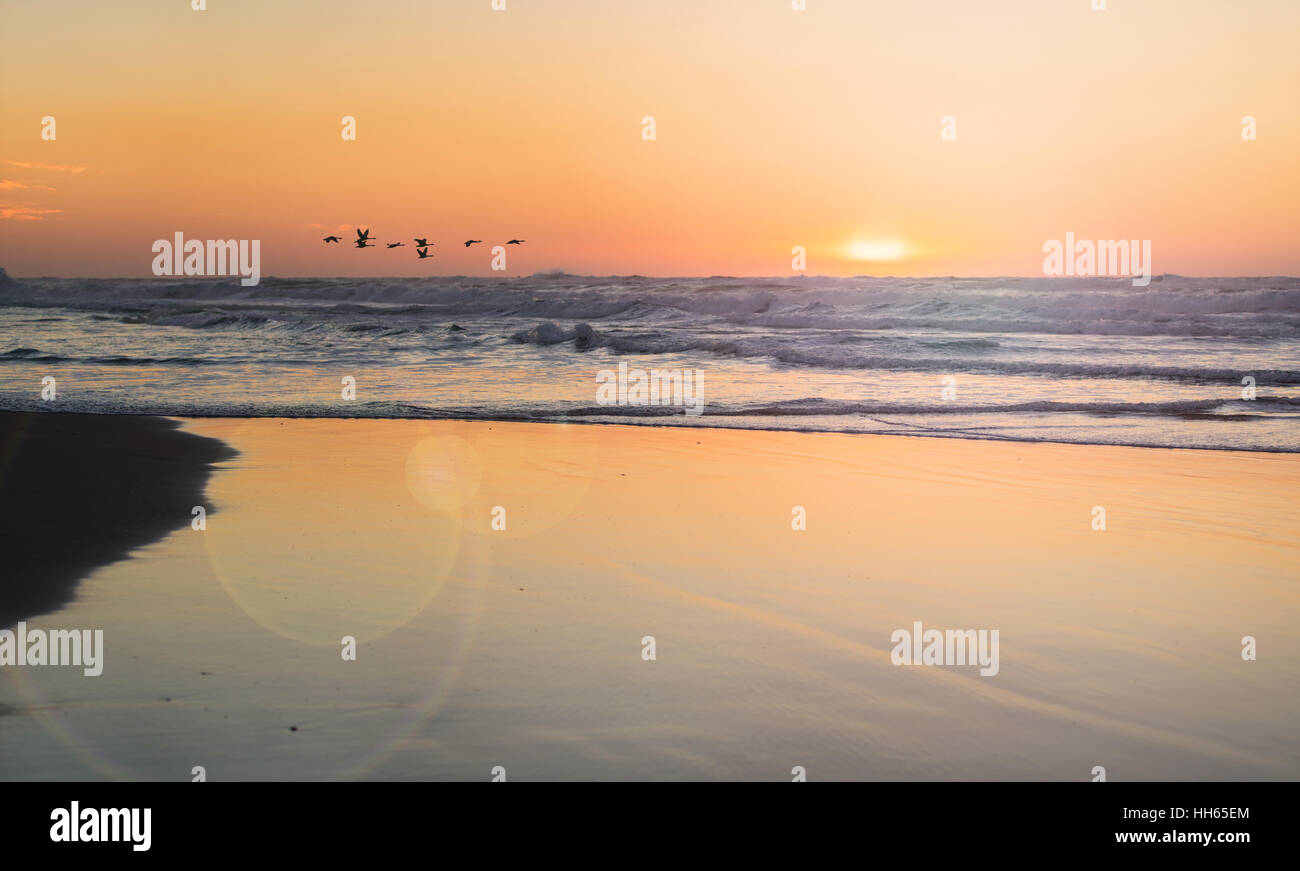 the landscape sea waves on sunset background Stock Photo - Alamy