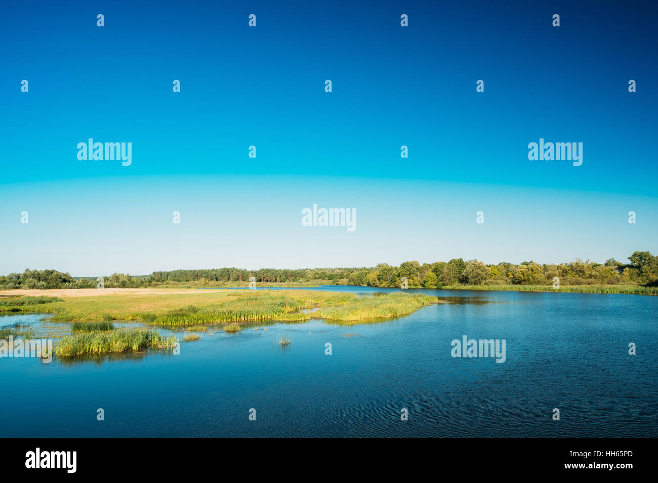 Water Surface Of Lake Pond River At Summer Sunny Day. Nature Background ...