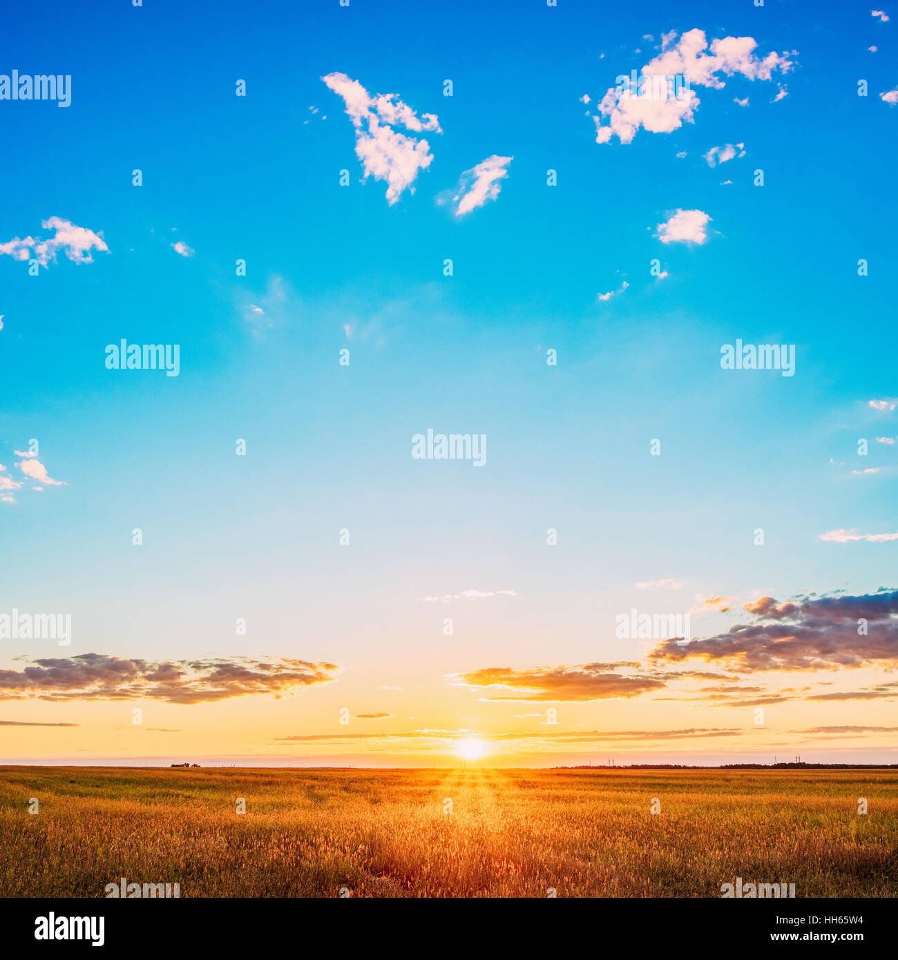 Landscape Of Field Under Scenic Summer Dramatic Sky In Sunset Dawn ...