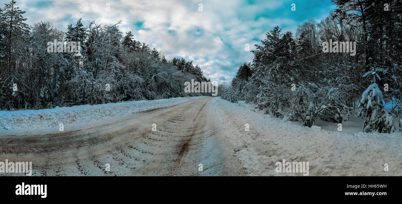 Russian forest landscape hi-res stock photography and images - Alamy