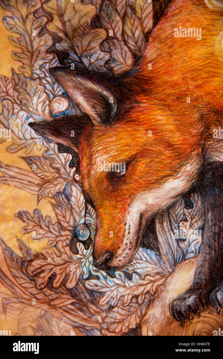 red fox portrait, colorful painting with ornamental background Stock ...