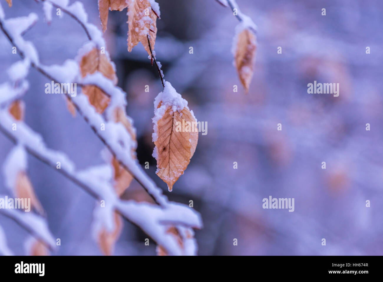 Hiking path details hi-res stock photography and images - Alamy