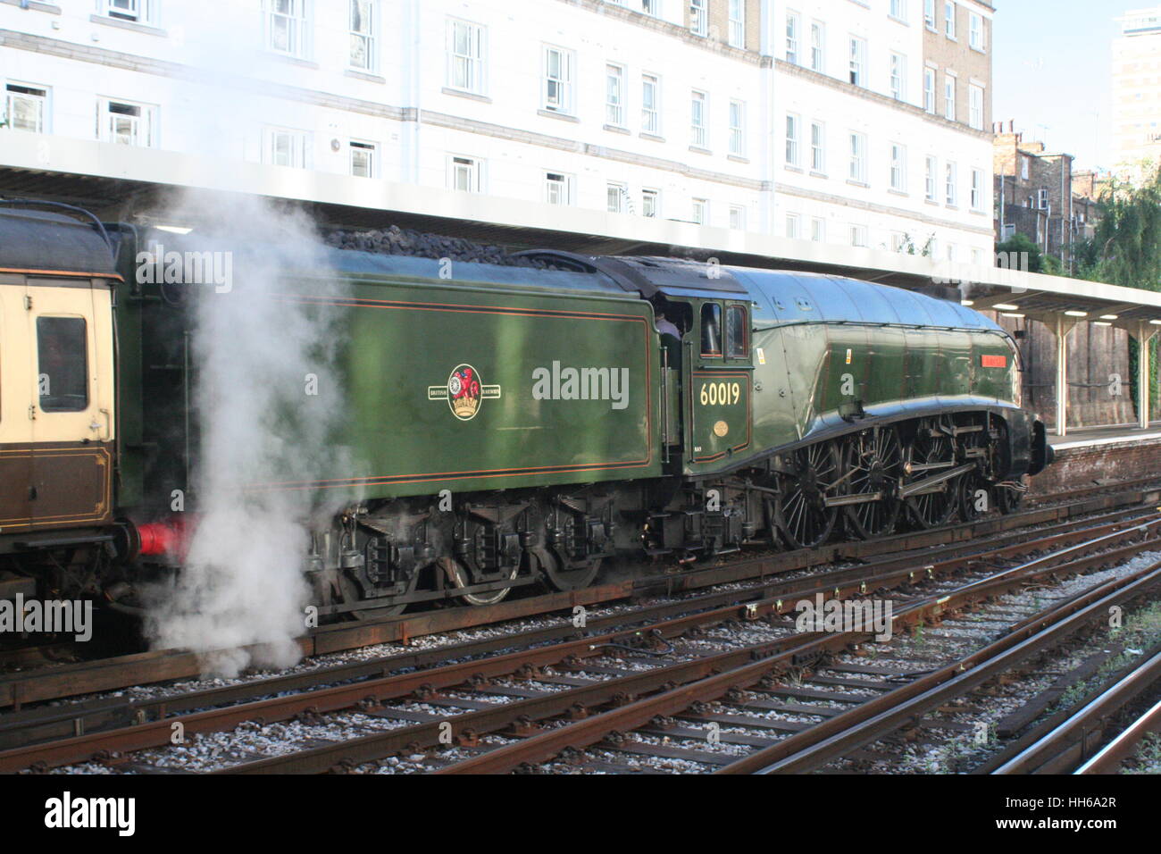 60019 Bittern at London Victoria Station Stock Photo - Alamy