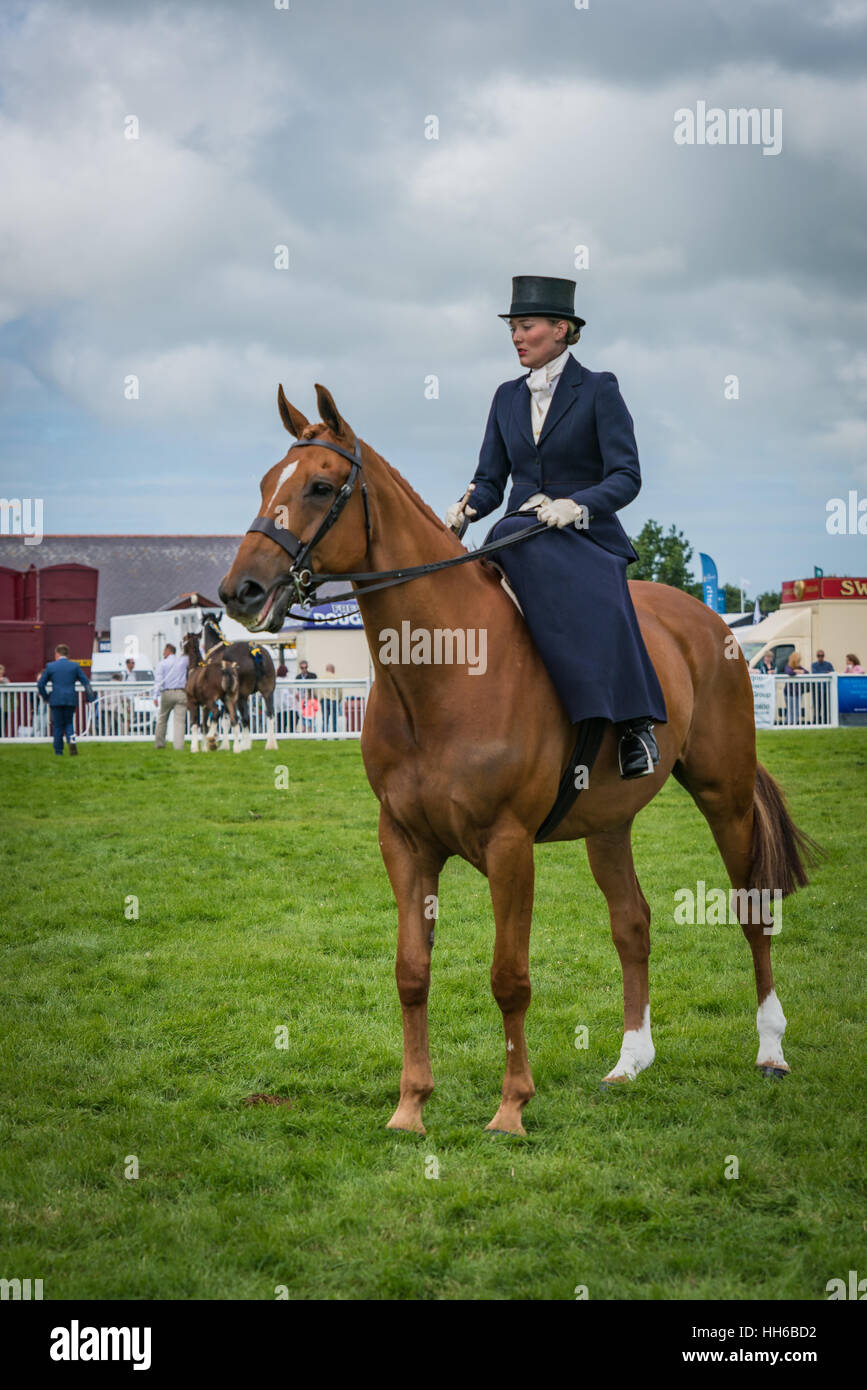 Sidesaddle hi-res stock photography and images - Alamy