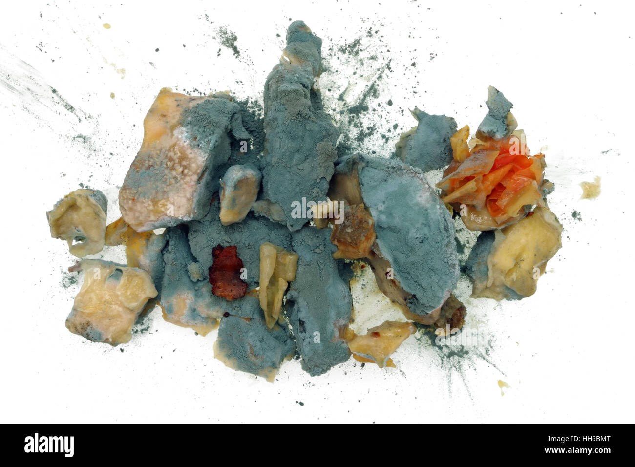 Penicillin Blue Mold