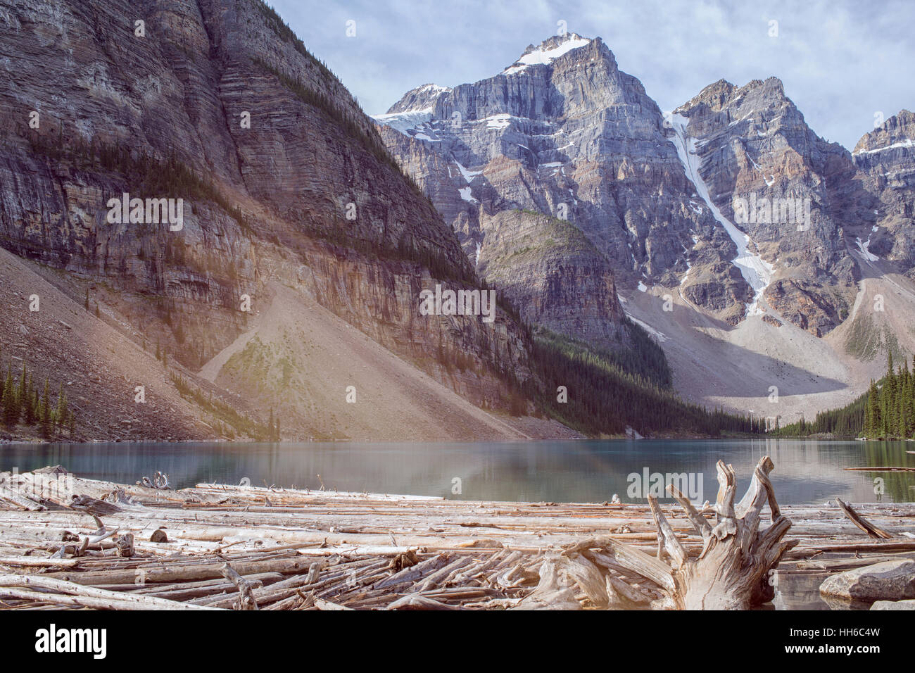 Logs in Moraine Lake, a glacially-fed lake near Lake Louise, Alberta, Canada Stock Photo - Alamy