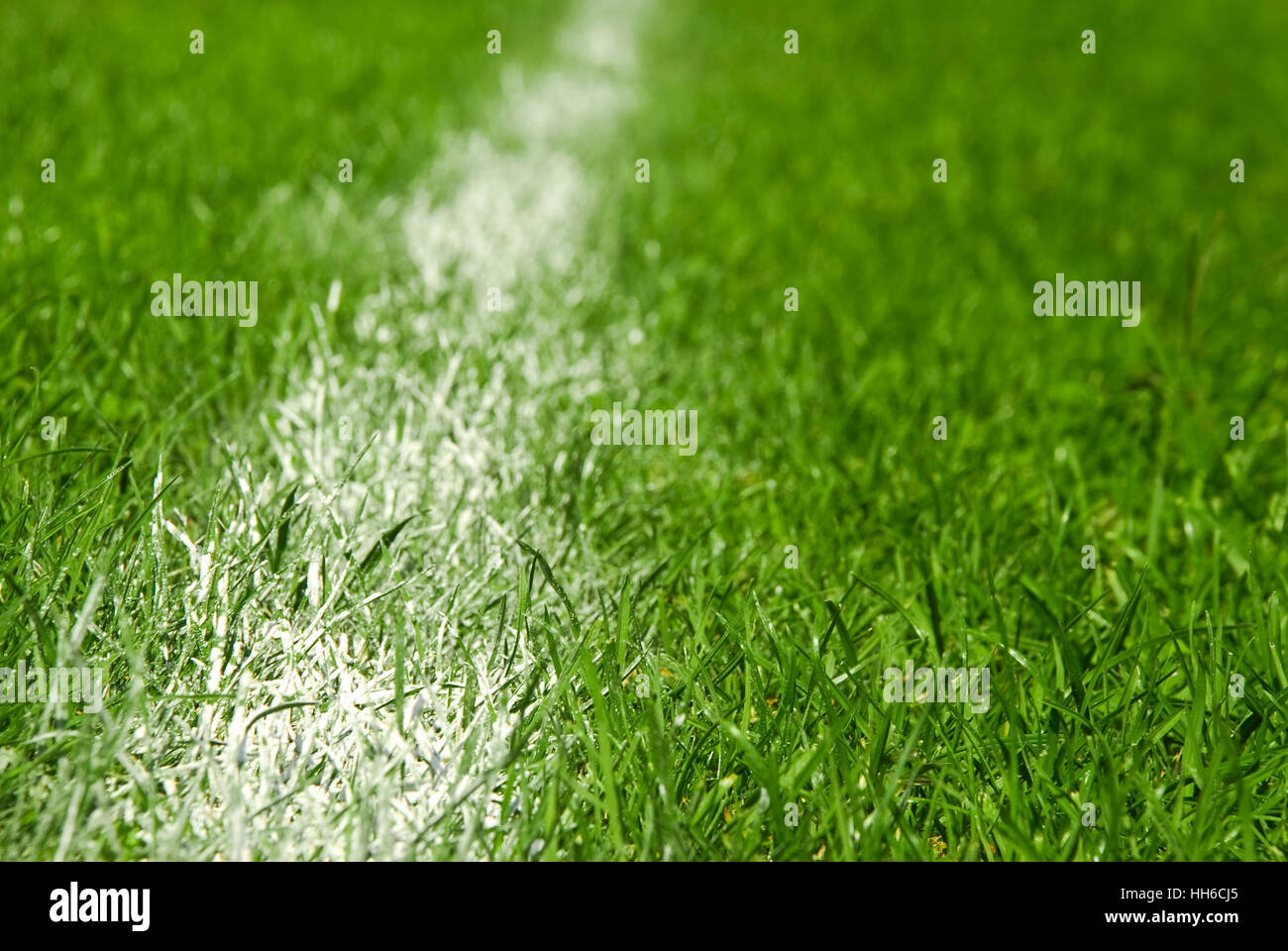 fresh line on grass football field Stock Photo - Alamy