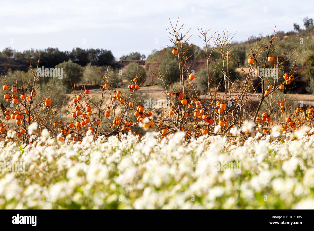 The small village of Ares del Bosque, Alicante Province, Spain Stock ...