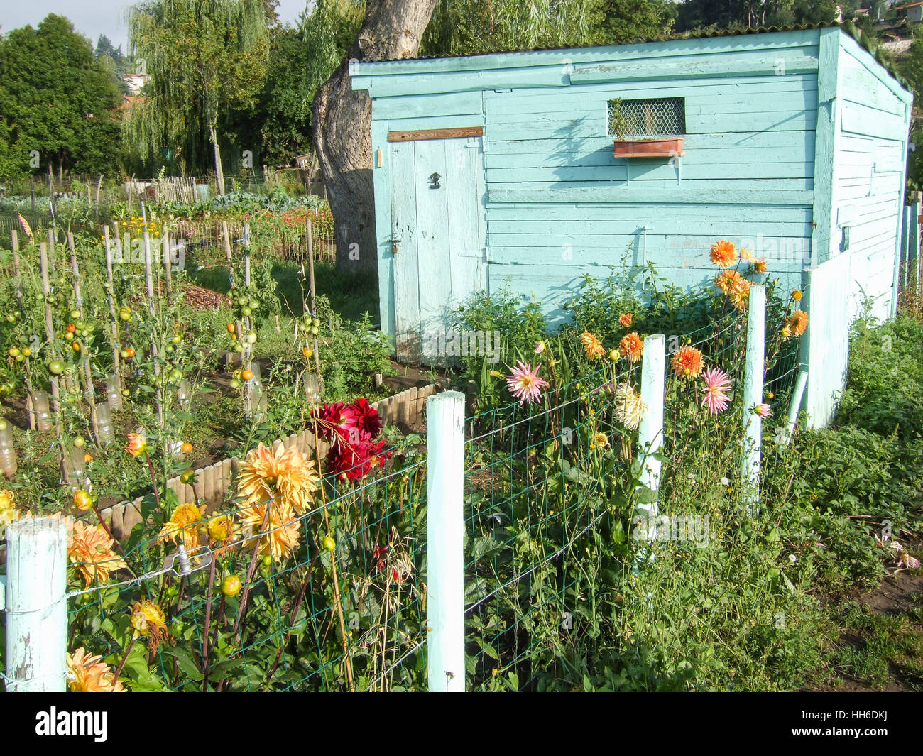 Attractive garden shed in a vegetable garden, France Stock Photo - Alamy