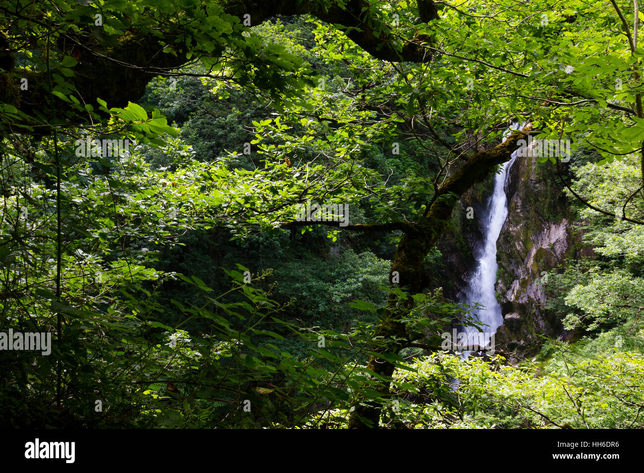 CEREDIGION, WALES Waterfall, Devil's Bridge Stock Photo - Alamy