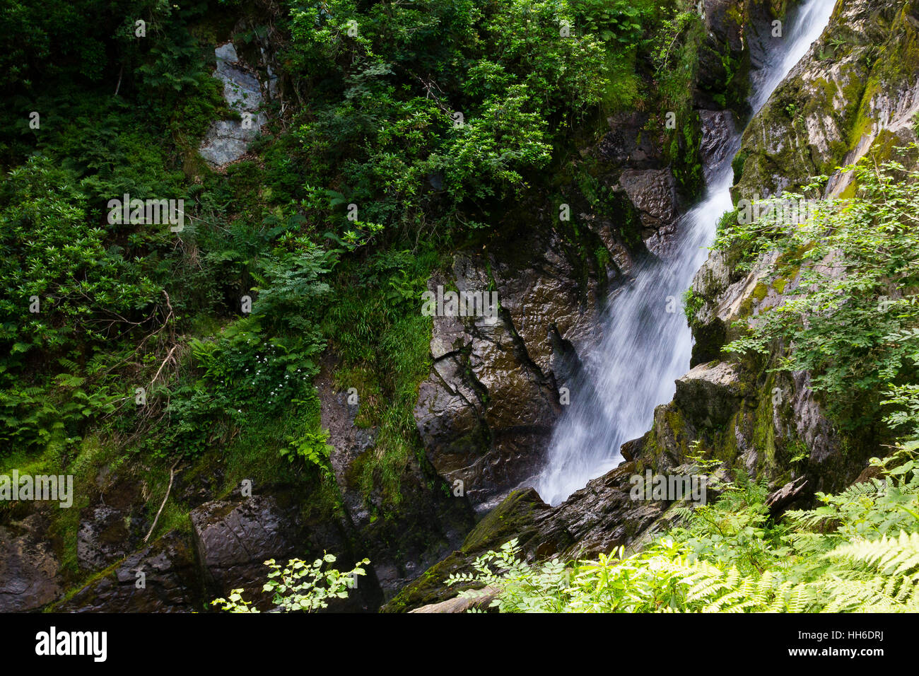 CEREDIGION, WALES Waterfall, Devil's Bridge Stock Photo - Alamy