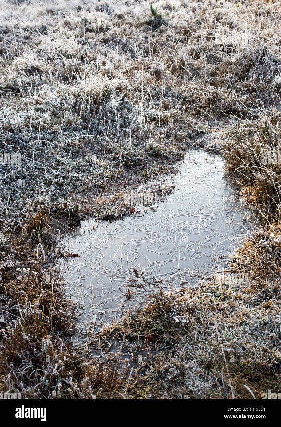 Ice pattern in frozen pond hi-res stock photography and images - Alamy