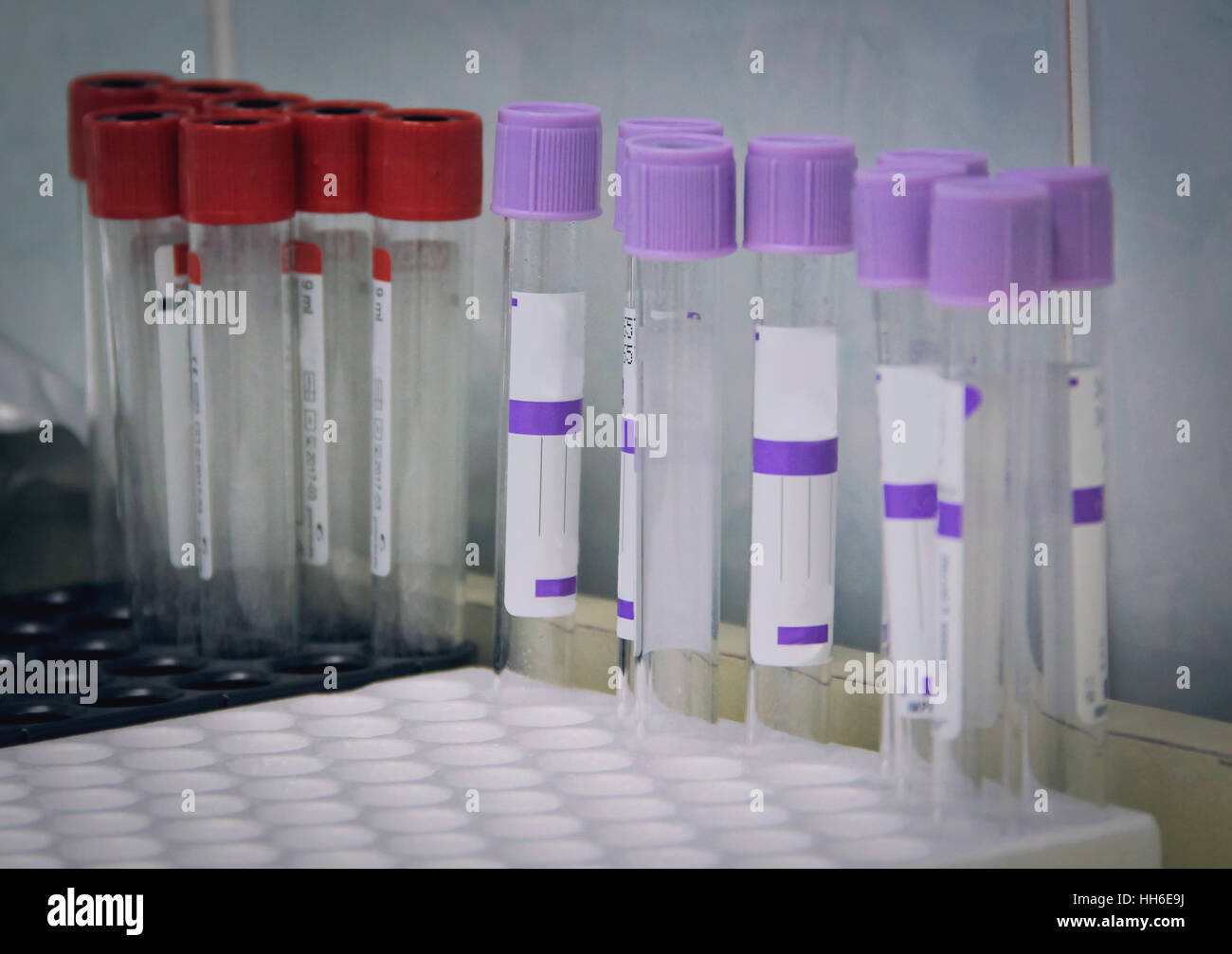 A lot of medical test tubes Stock Photo - Alamy