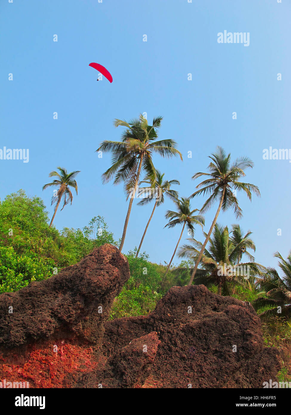 Red paraglider flying over the palm trees on the ocean beach Stock ...