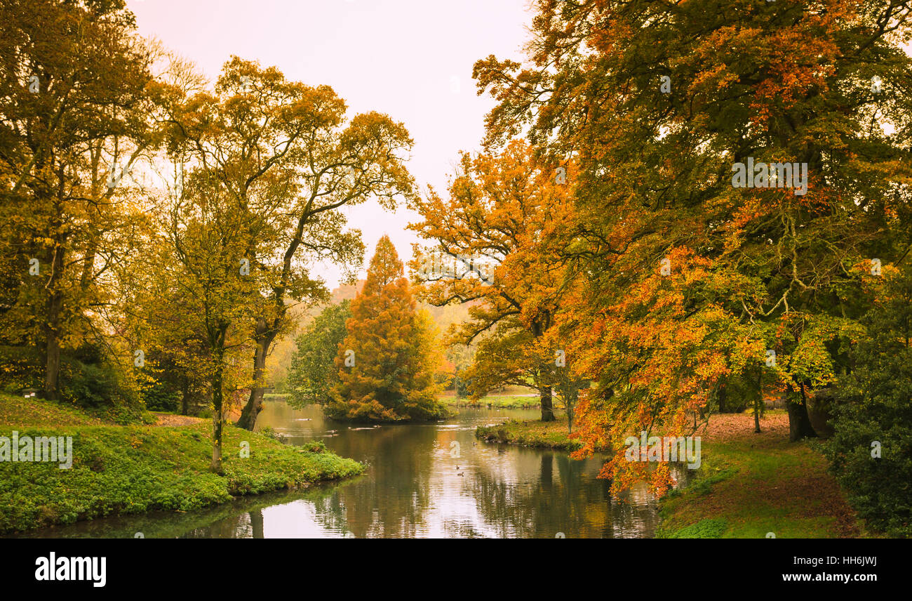 Beautiful Autumn colours in Devon, UK Stock Photo - Alamy