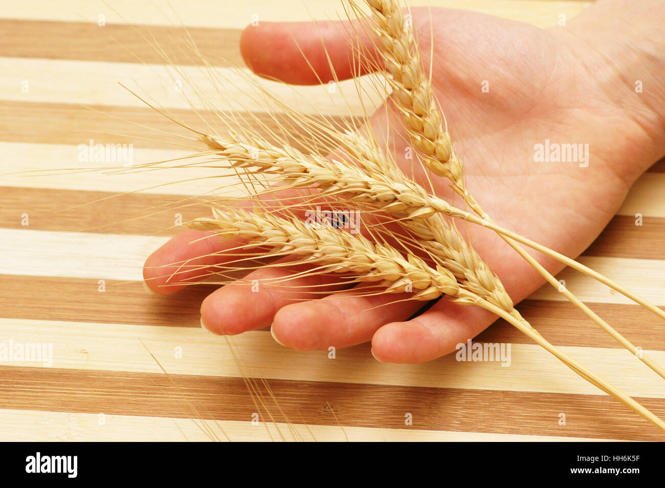 Hand Reaping High Resolution Stock Photography and Images - Alamy