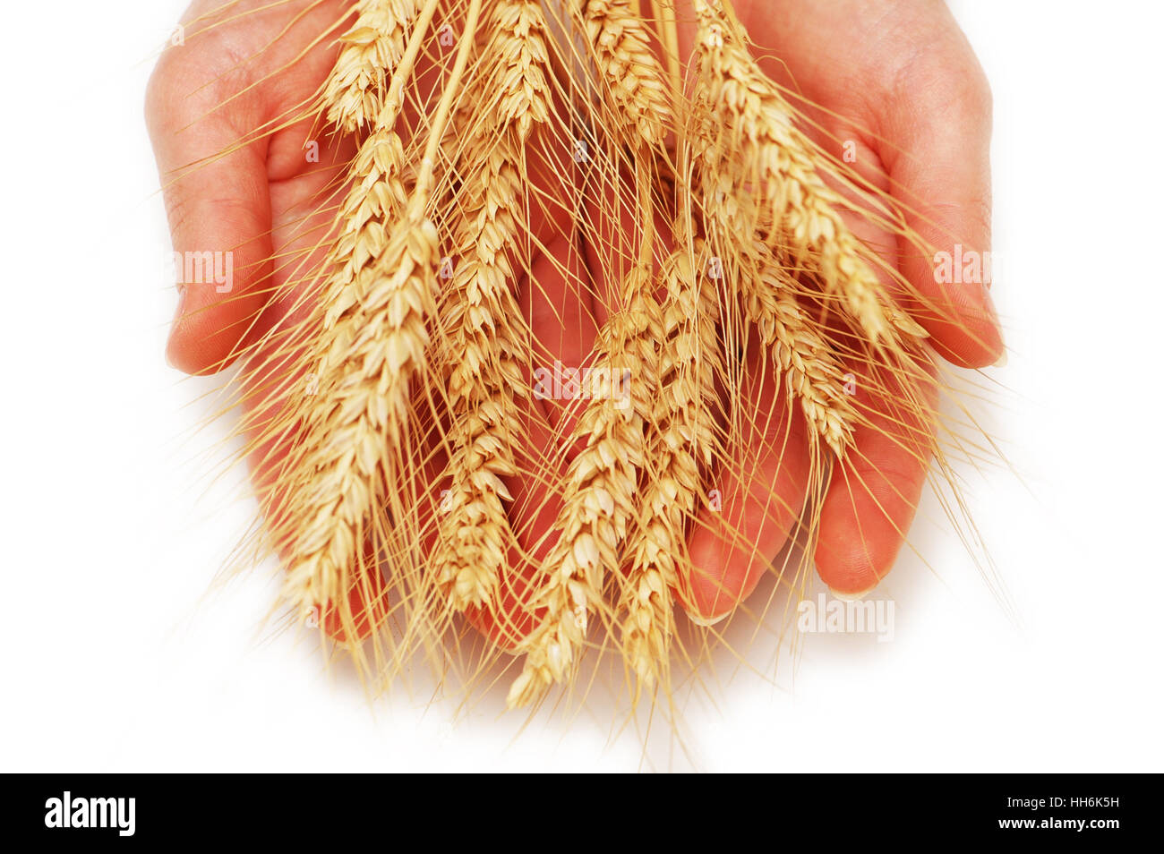 Hand reaping hi-res stock photography and images - Alamy
