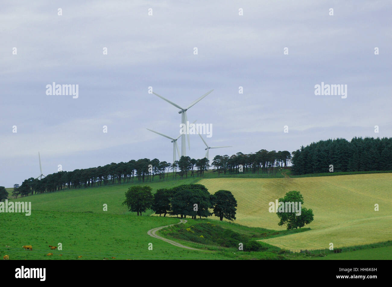 Scotland wind turbine house hi-res stock photography and images - Alamy