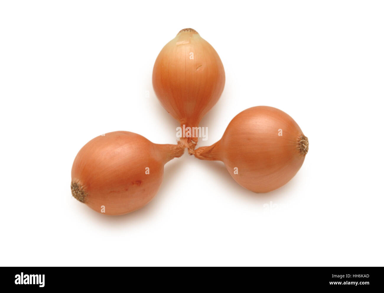 Star shaped formation hi-res stock photography and images - Alamy