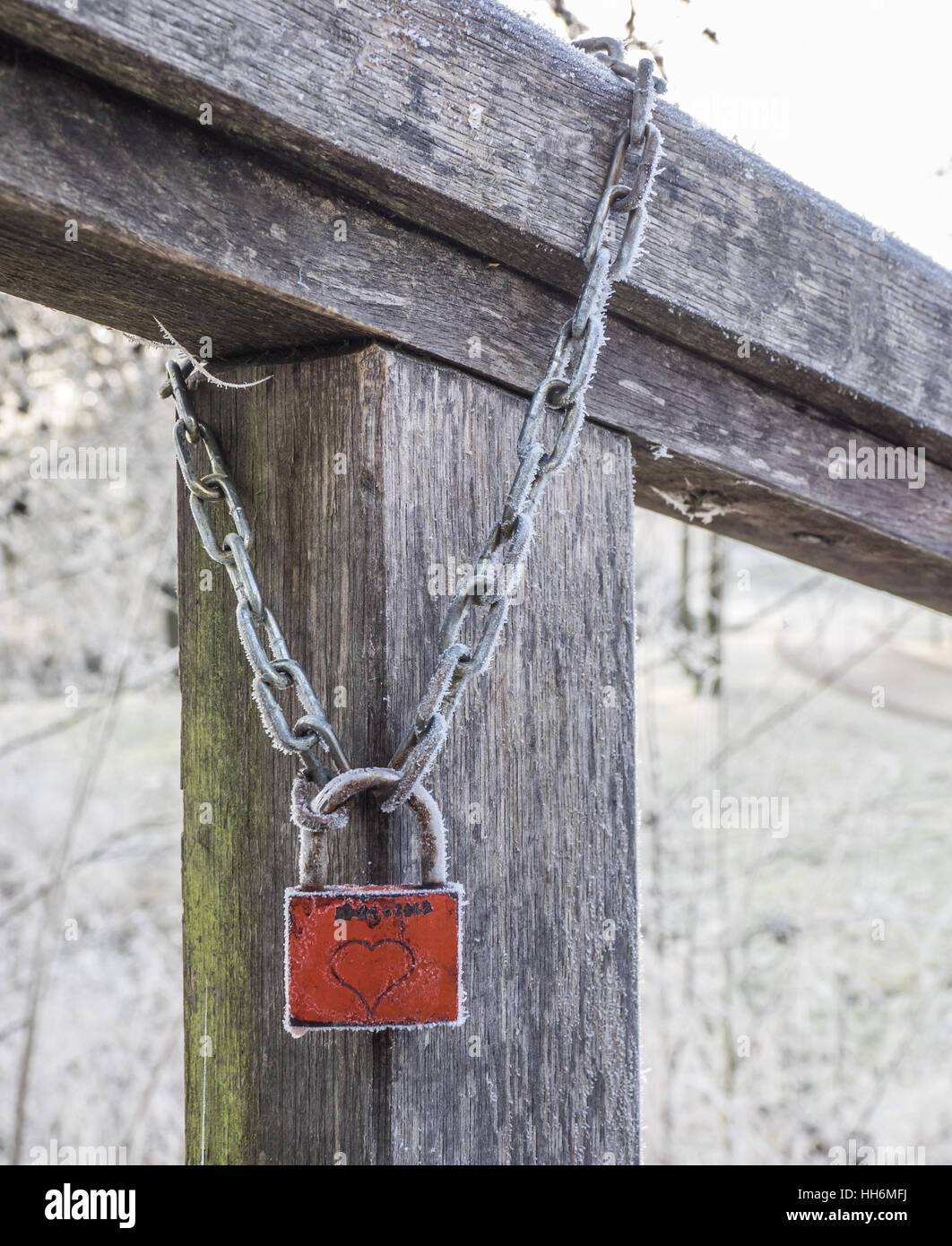 Frosty locks hi-res stock photography and images - Alamy