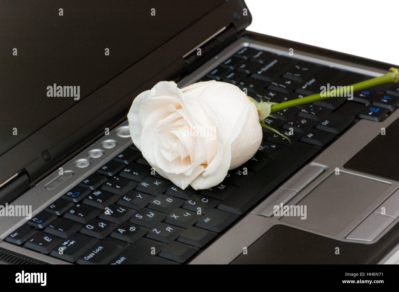 laptop, notebook, computers, computer, keyboard, PC, beautiful ...