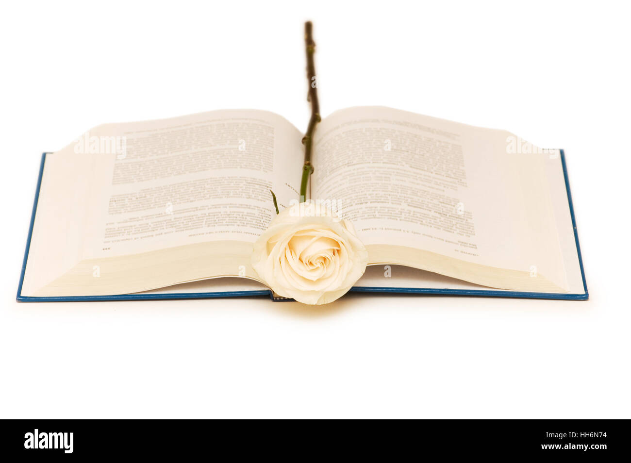 White rose on blue book isolated on white Stock Photo - Alamy
