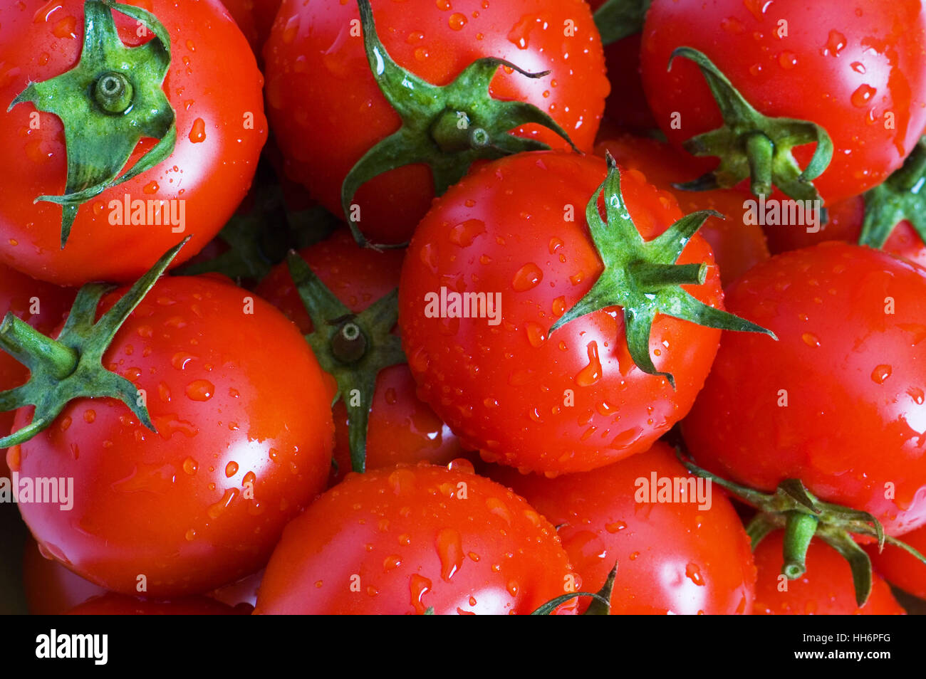 wet, dew, water, drop, drip, drops, seeping, sopping, drips, food ...