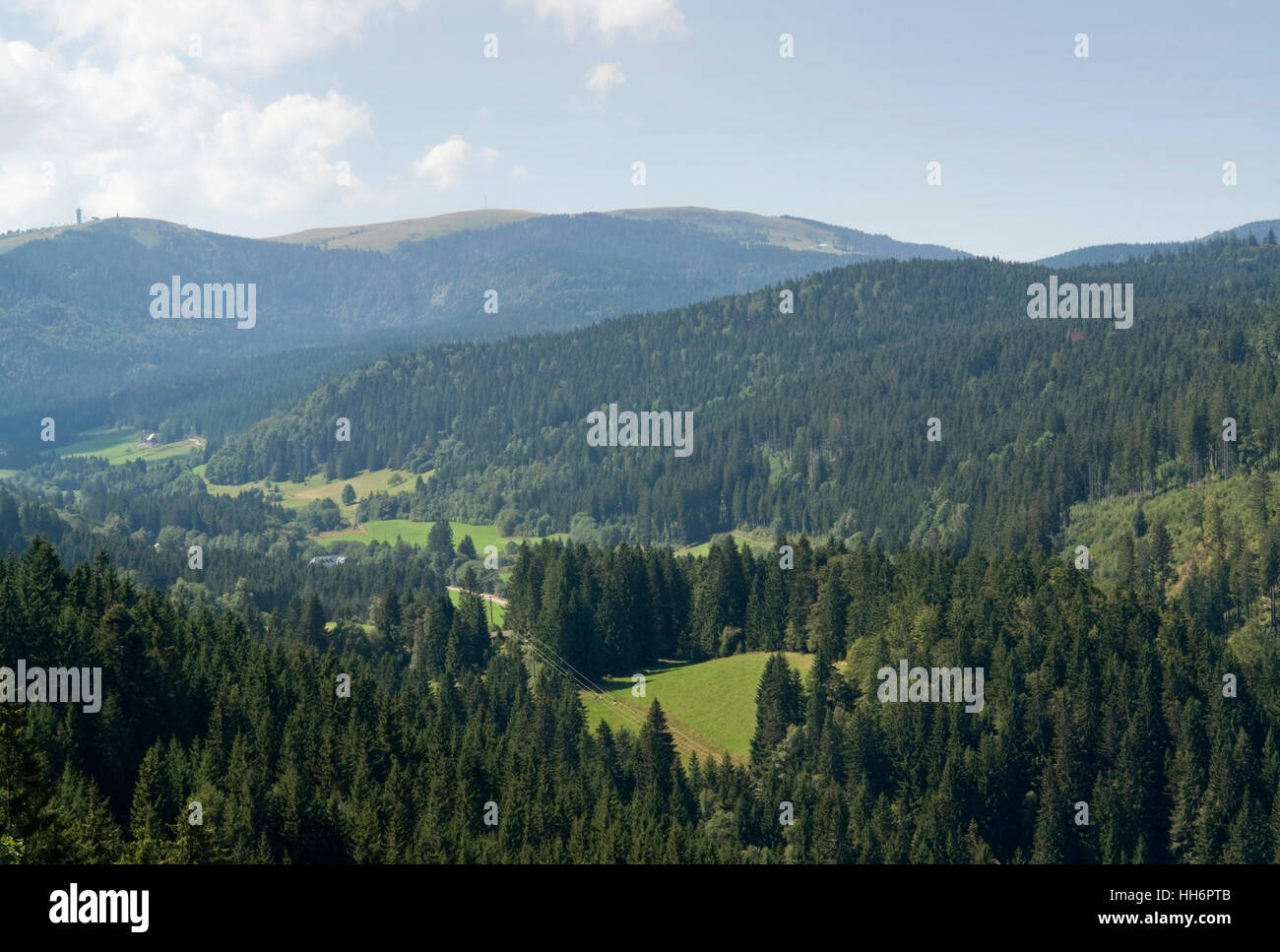 agriculture, farming, black forest, aerial view, forest, bathing ...