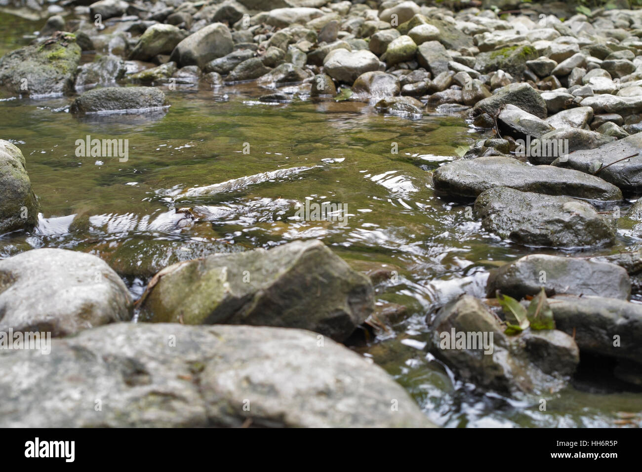 flow, stone, stream, ceramic tiles, pebble, current of the river, river ...