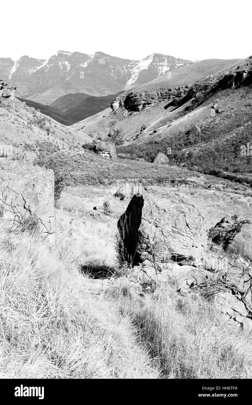 blur in south africa valley of desolation dirty road rock tree and sky ...