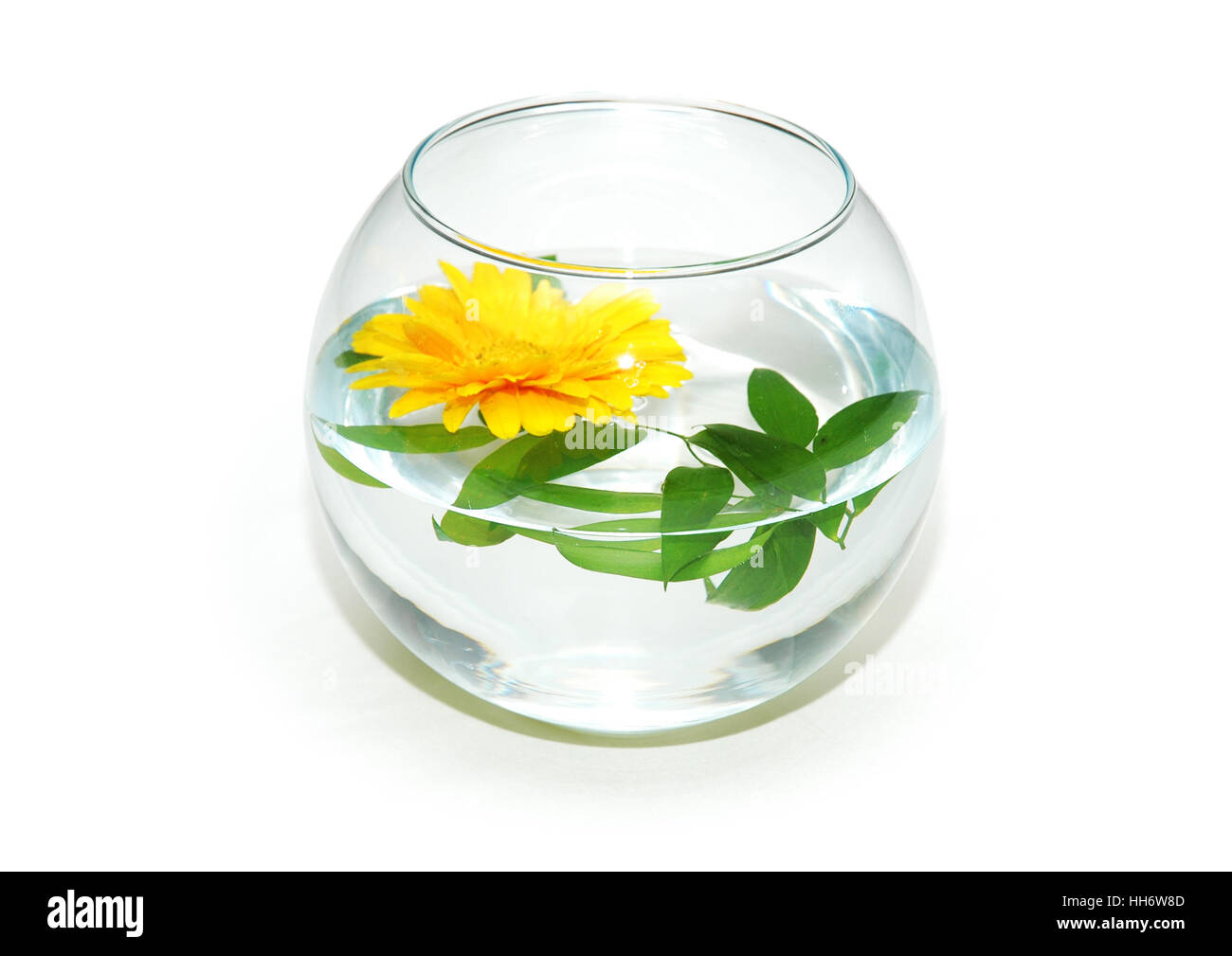 Floral tank Cut Out Stock Images & Pictures - Alamy