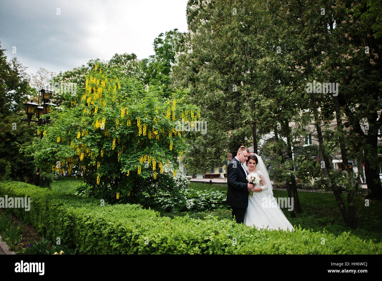 Wedding couple in love background tree with yellow pods Stock Photo - Alamy