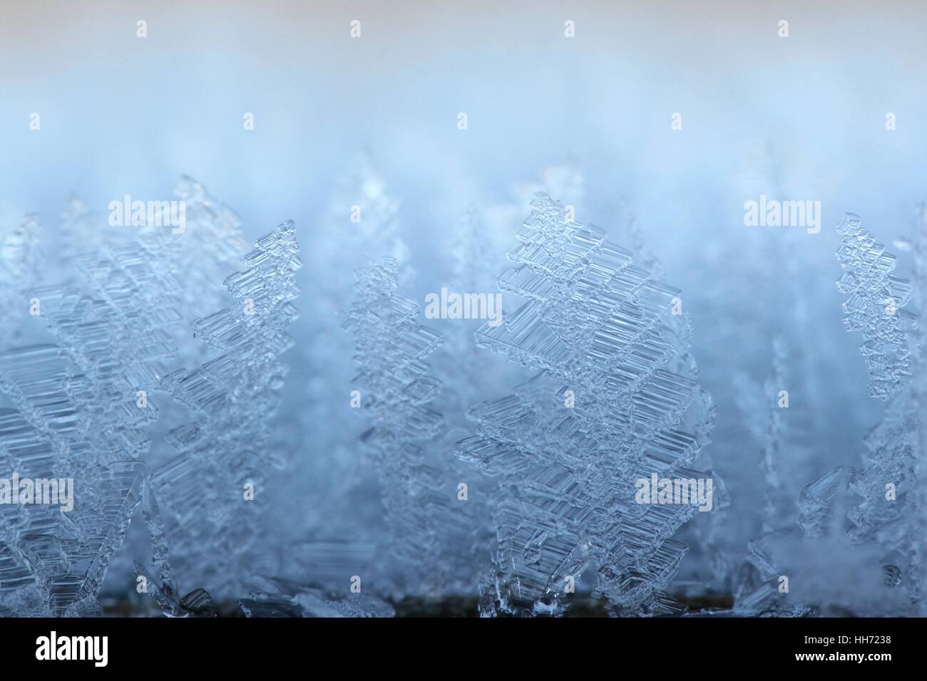Natural crystals of snow Stock Photo - Alamy