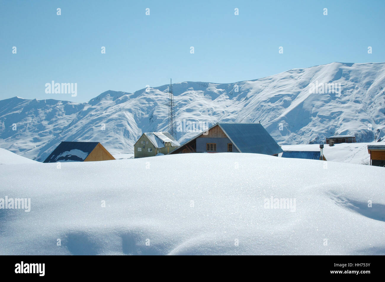 blue, travel, sport, sports, tree, trees, mountains, winter, cold, pine ...