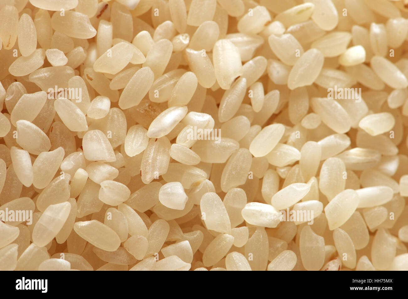 Extreme close up of white rice background Stock Photo - Alamy