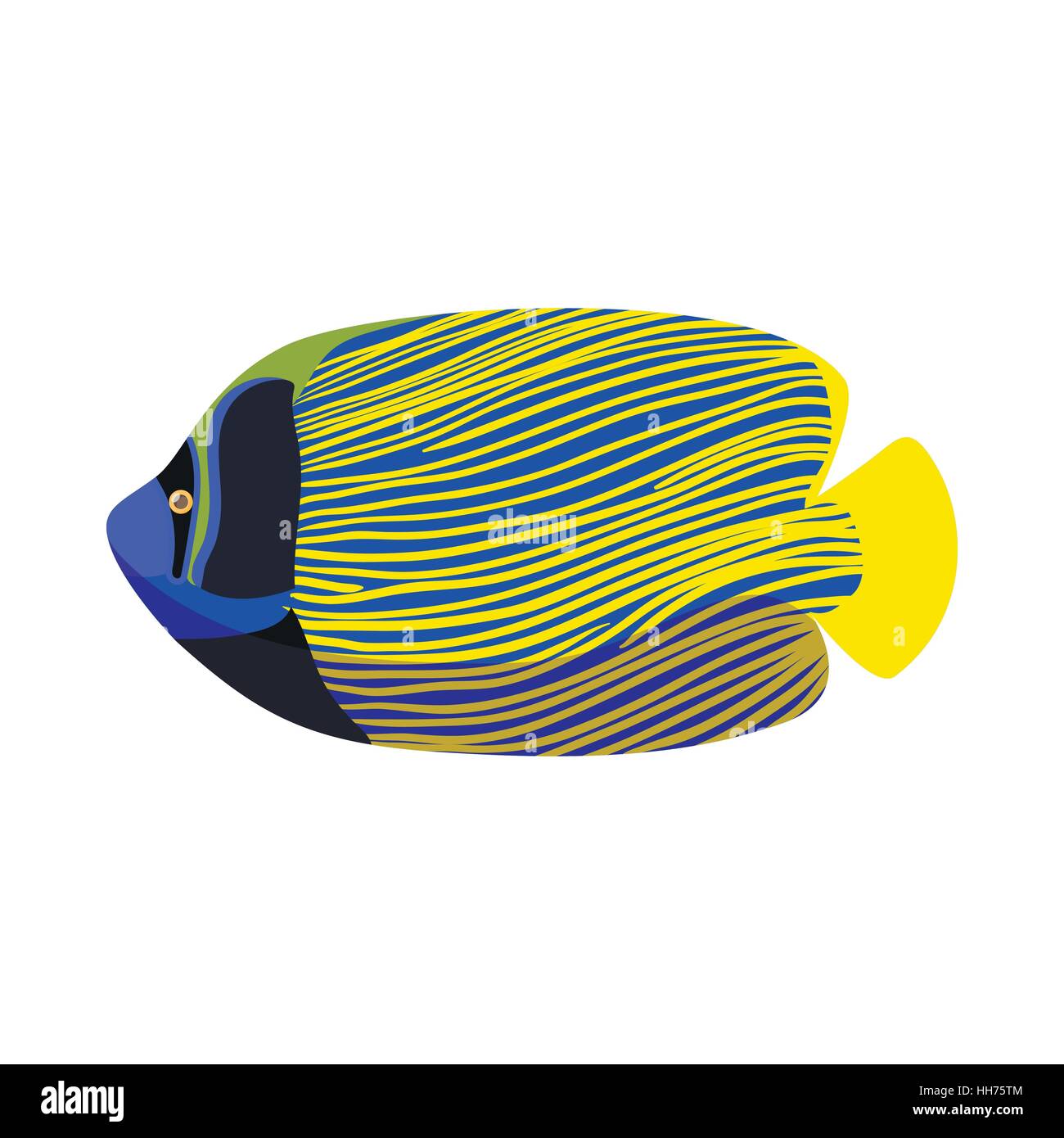 Tropical angelfish icon, cartoon style Stock Vector Image & Art - Alamy