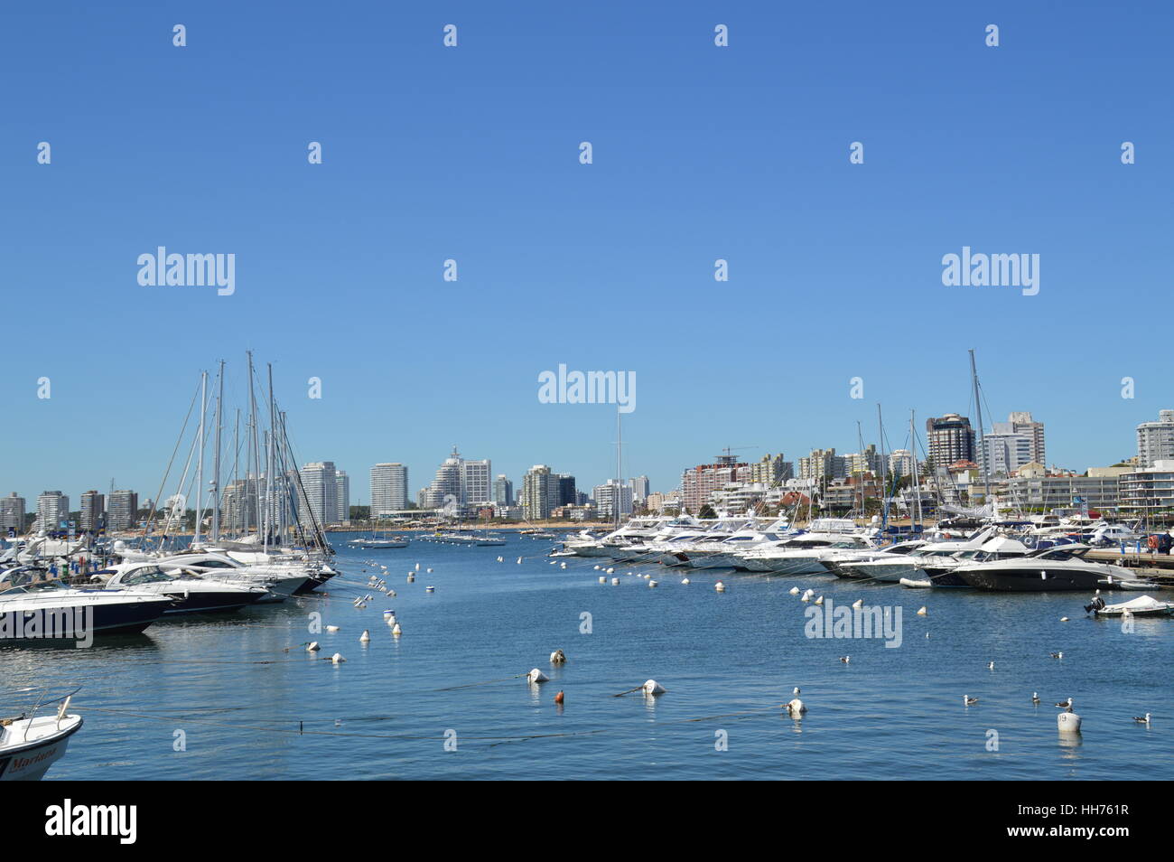 Yachts and boats docked at the scenic port of Punta del Este in Uruguay ...